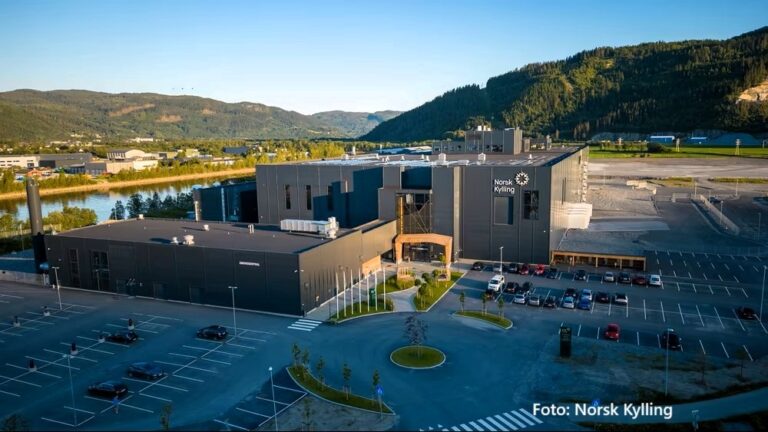 Utslipp: Norsk Kylling ber om ny frist - Orkanger Vel